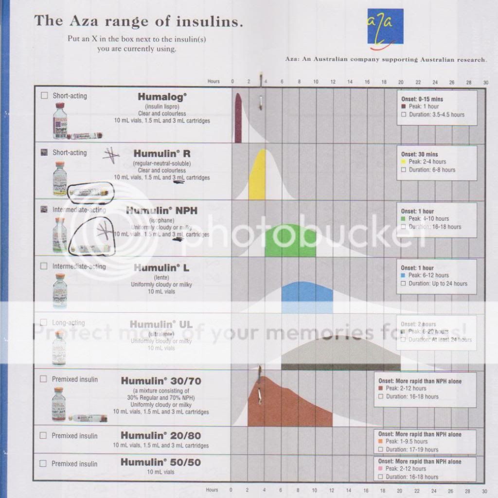 Diabetes - Just been diagnosed - Health