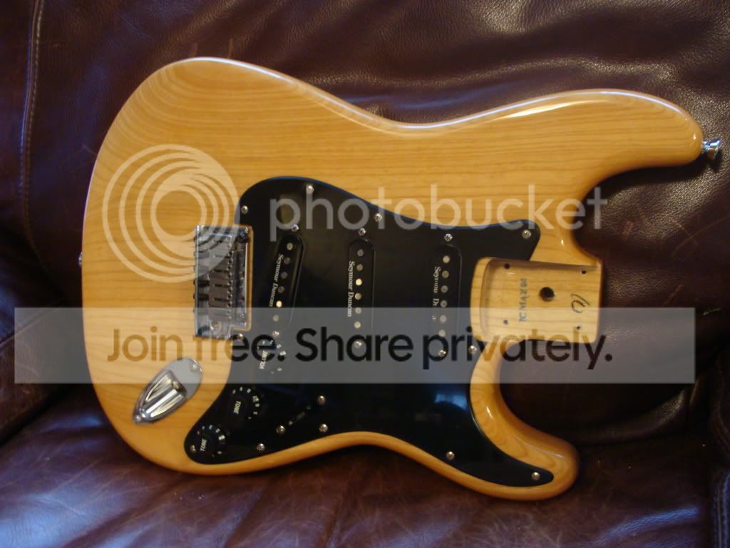 Fender Special Edition Lite Ash Stratocaster loaded body - Electric ...
